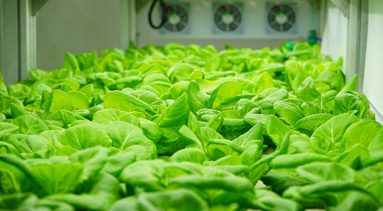 Why Traceability in Manufacturing Matters More Now than Ever Before
