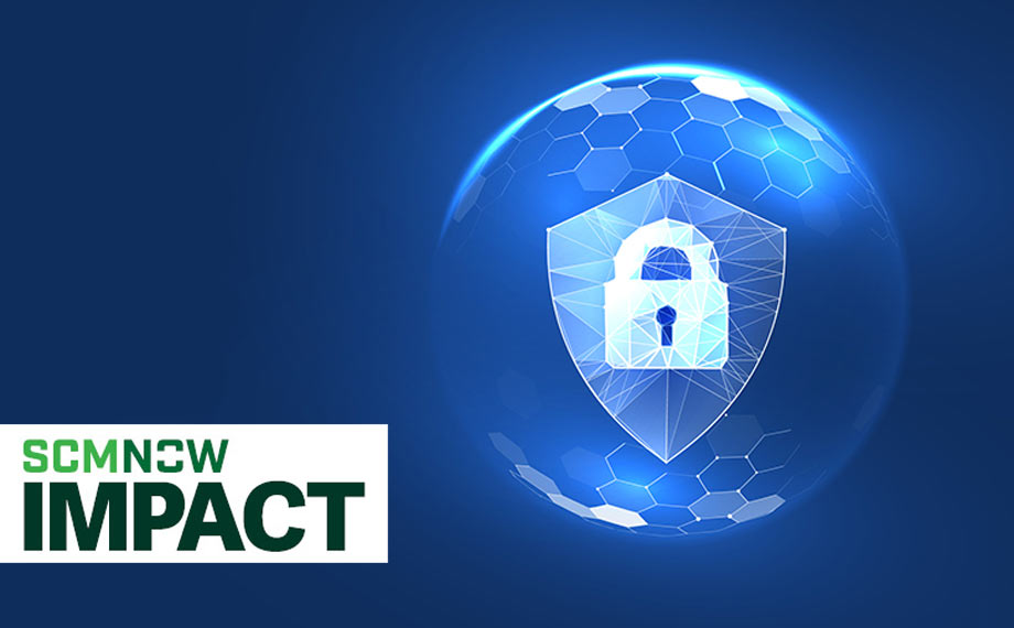 Get Control of Cybersecurity Vulnerability in Your Supply Chain