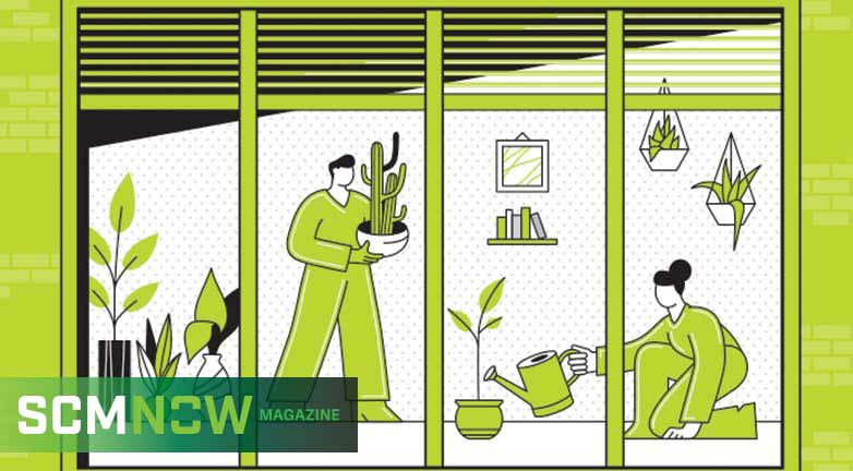 Grow the Supply Chain Community Through Mentorship