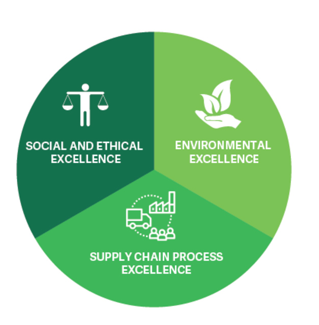 Sustainability Maturity Assessment | ASCM
